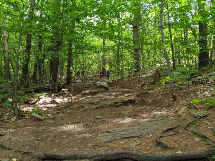 Hiking Wachusett Mountain