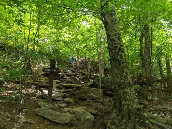 Hiking Wachusett Mountain