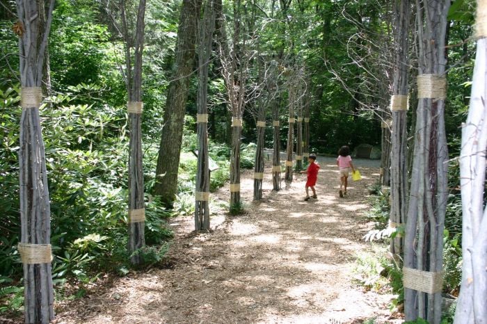 Native Plant Trust - Garden in the Woods