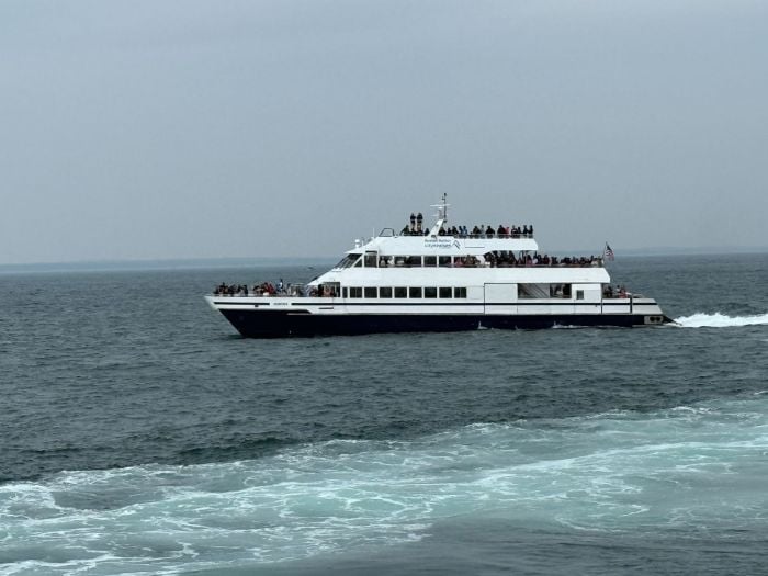 Whale Watching in Boston: What to Expect on a Boston Harbor City ...