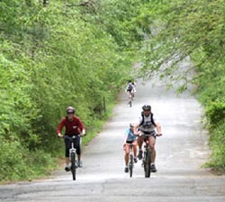 Bicycle Paths & Trails (Local Guide)